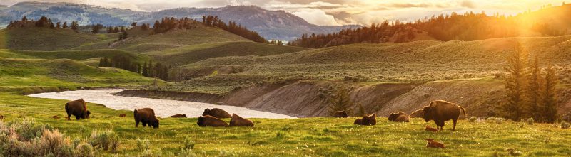 Home - Seven Chiefs Sportsplex