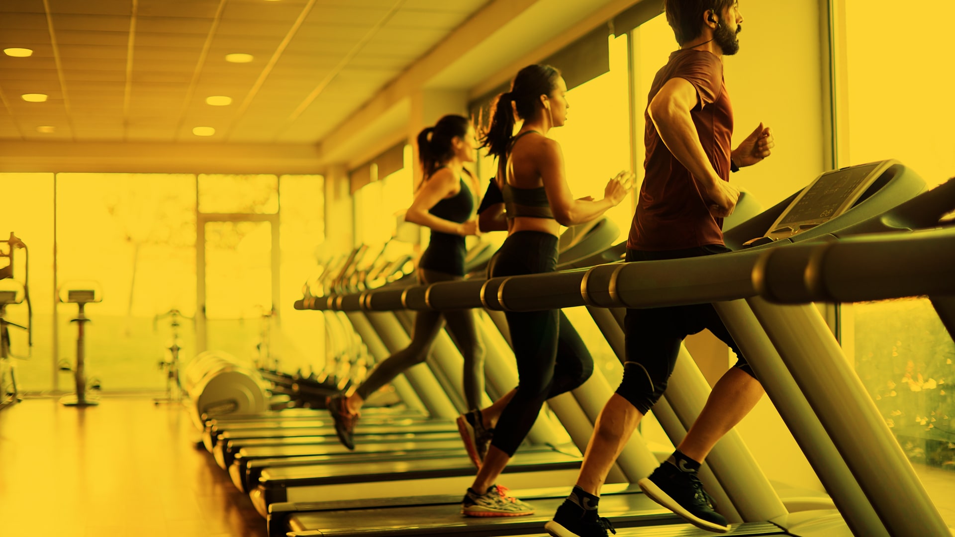 Facilities - Seven Chiefs Sportsplex